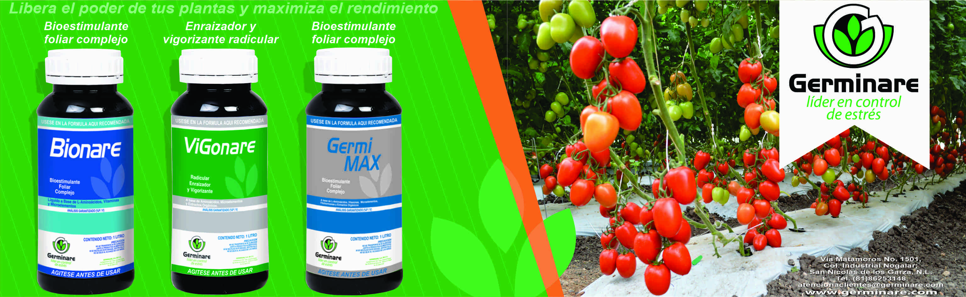 GERMINARE – El Despertar del Campo