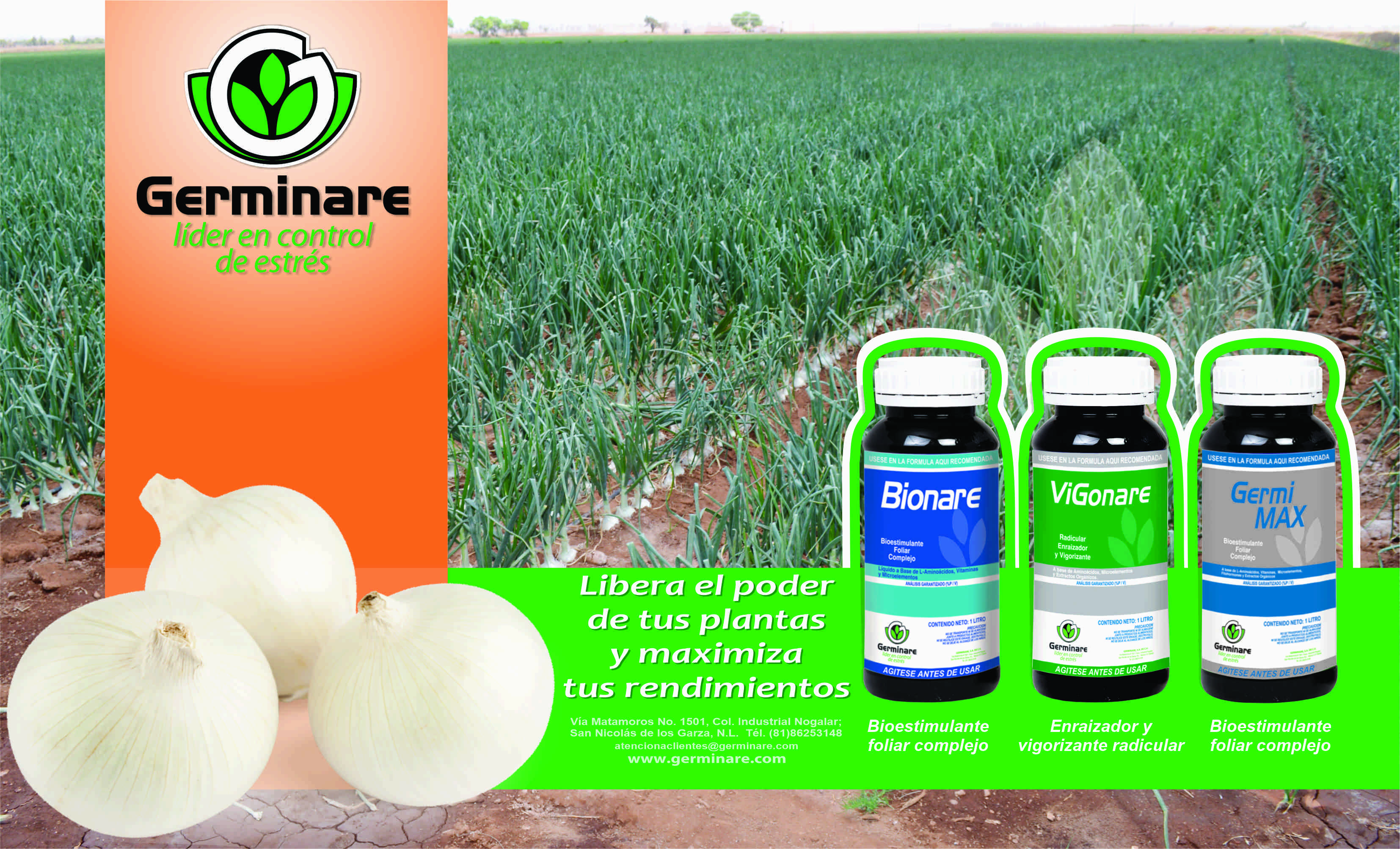 GERMINARE – El Despertar del Campo
